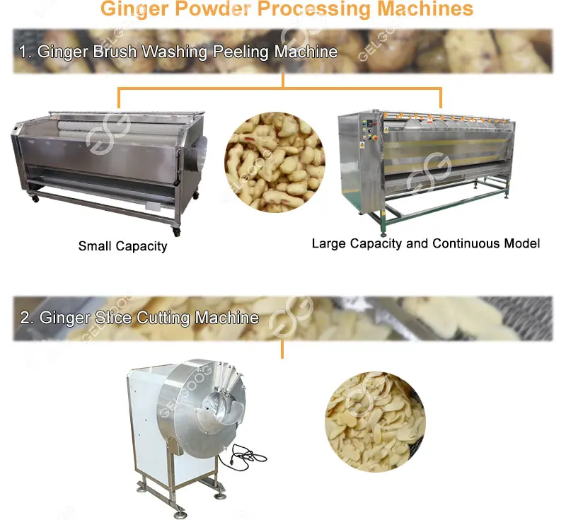 GELGOOG Turmeric Processing Plant - Efficient & Automatic
