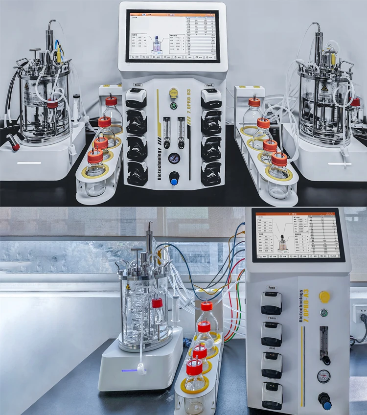 220v Laboratory Bioreactor & Fermenter System With Plc - 5l/20l Oem