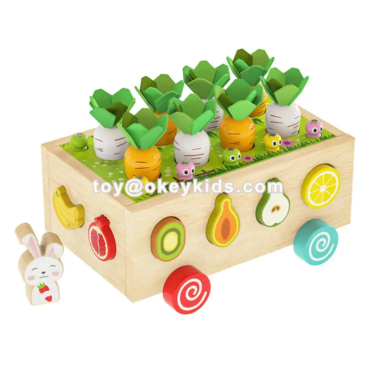 Kids Educational Multifunctional Shape Sorting Wooden Pull Radish Toy ...