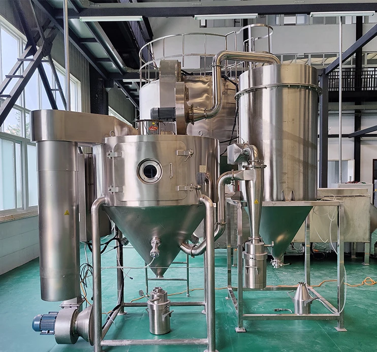 Fruit & Vegetable Mesh Belt Dryer - Efficient Drying Solutions