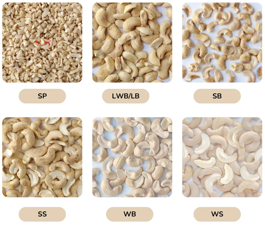 Broken Cashew Nuts Vietnam Raw Cashew Kernels Raw + Dried 10000 Kgs Grade Wb A Grade Natural ...
