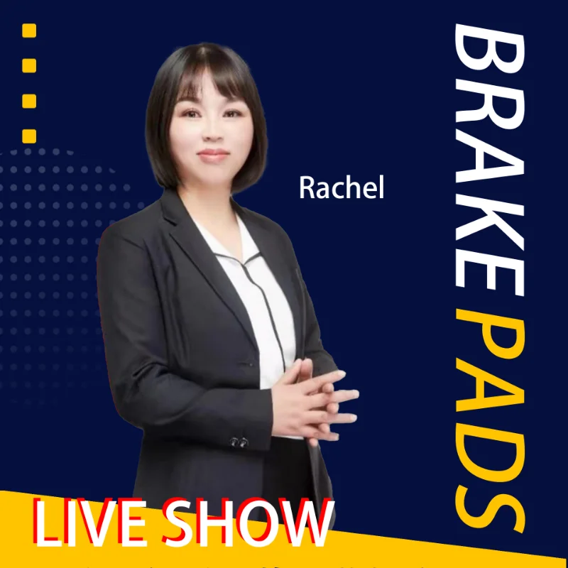 Sales manager Rachel introduces motorcycle brake pads Product Show Stream 2023 - Alibaba.com