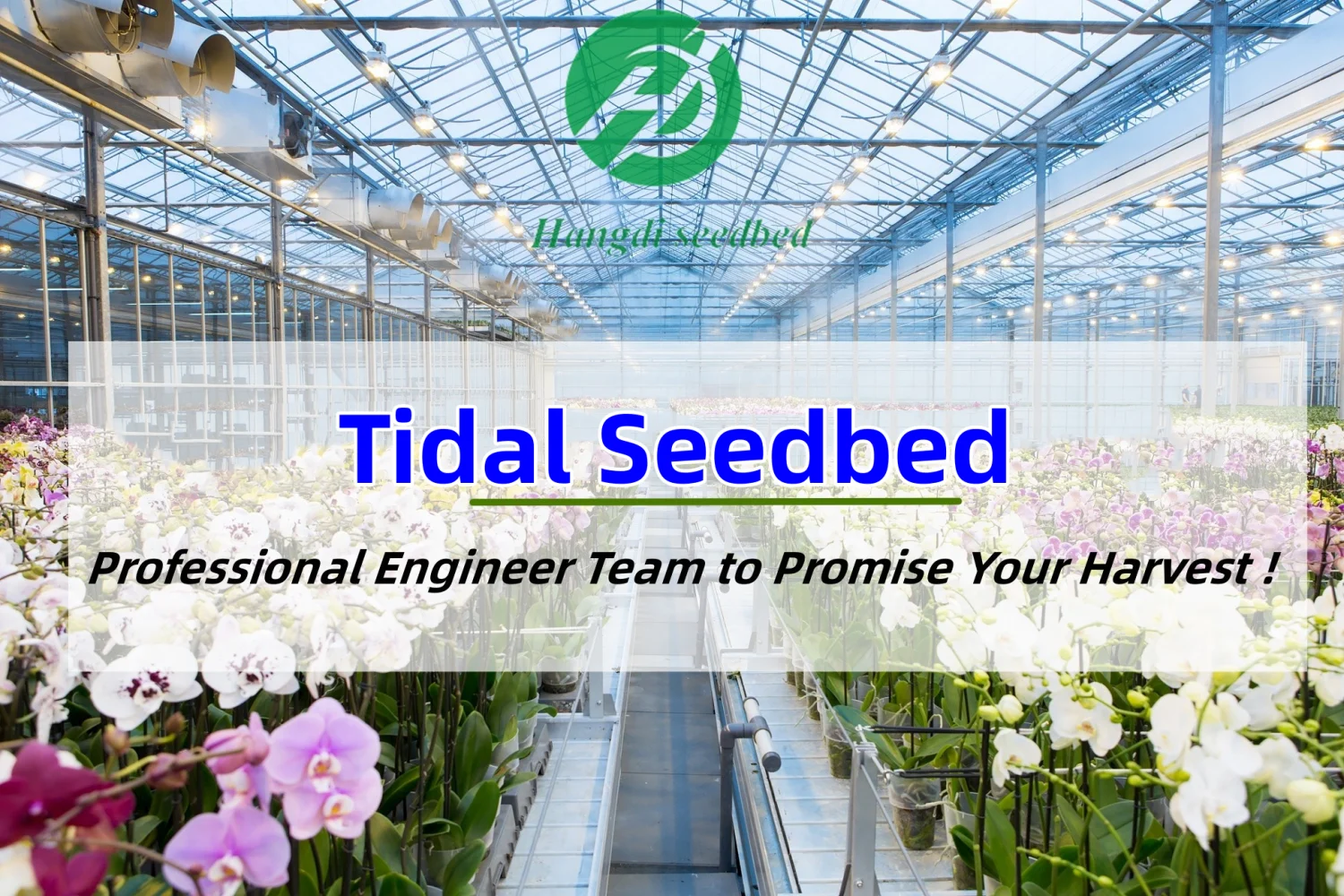 Greenhouse Soilless Agricultural Hydroponic Vertical Farm Indoor ...