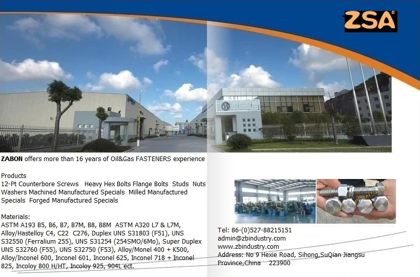 Hex Socket Head Screws M8 M10 M24 M30 - Durable & Versatile