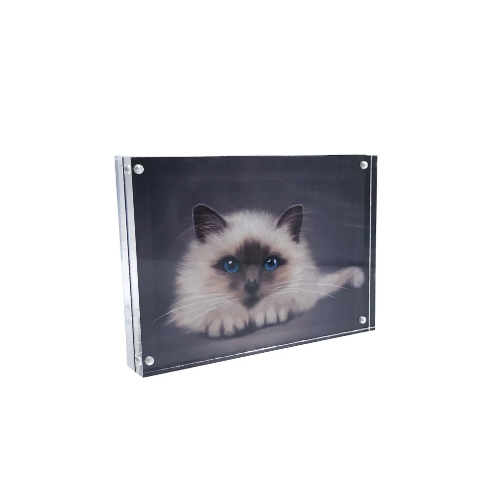 2026 Innovative Acrylic Eco-friendly for European Style Picture Display ...