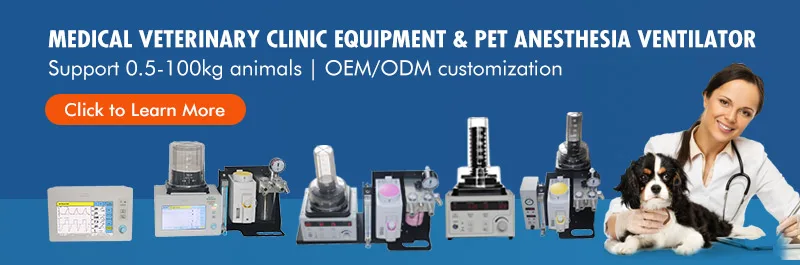 Holter Monitor for Dogs & Cats - Veterinary ECG Solutions