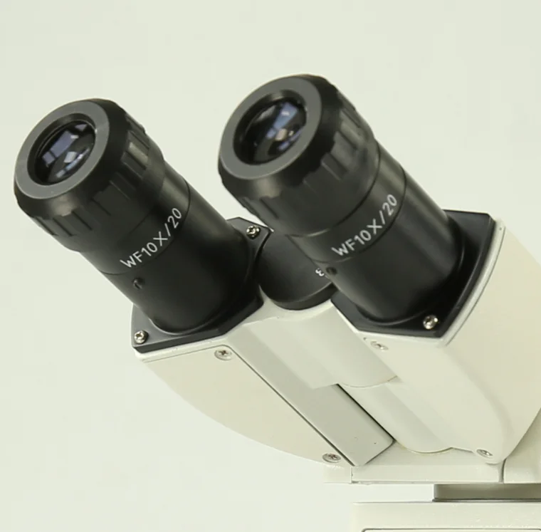 Microscope Manufacturer Biological Microscope Binocular Head ...