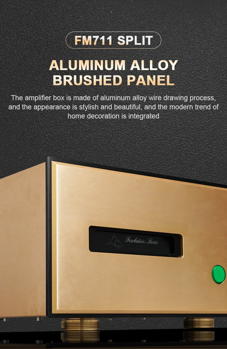 Brzhifi Fm711mk2 New Amplifier High Power Post Amp Clone Swiss Fm711 ...