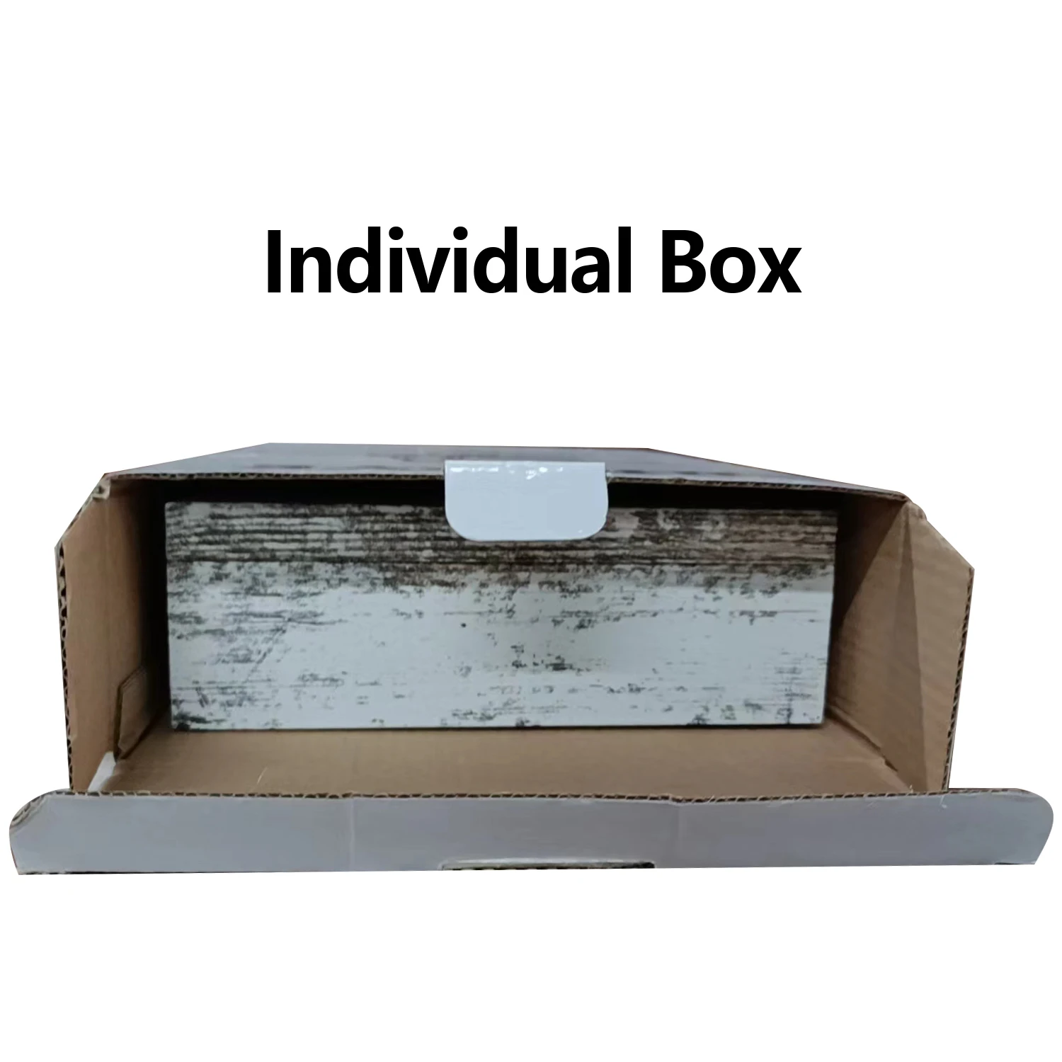 Insect Display Case with Pins - Perfect for Specimen Mounting