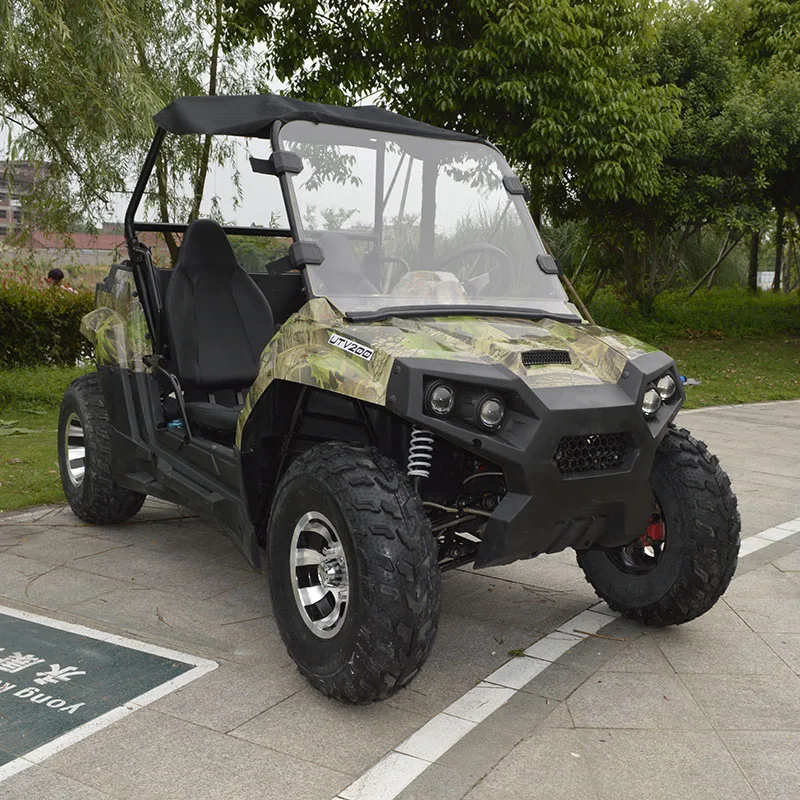 Cheap 2 Seat 200CC off Road Automatic UTV with CE