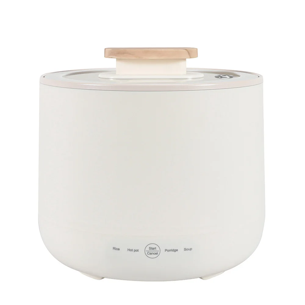 Electric Small Cooking Pot - Personal Best Rice Porridge Cooker