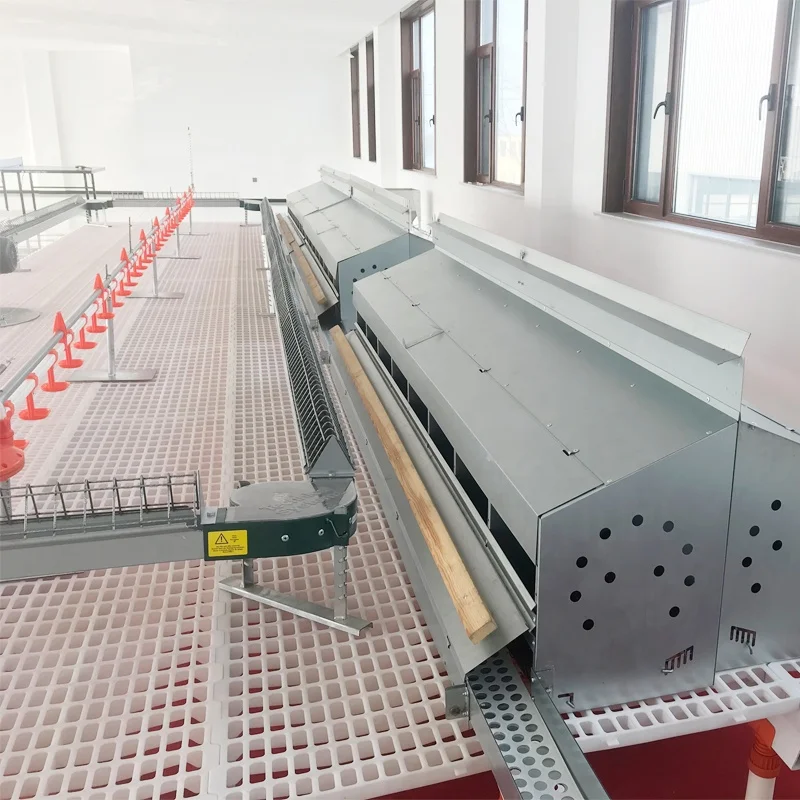 Automatic Egg Collection System for Efficient Poultry Farming