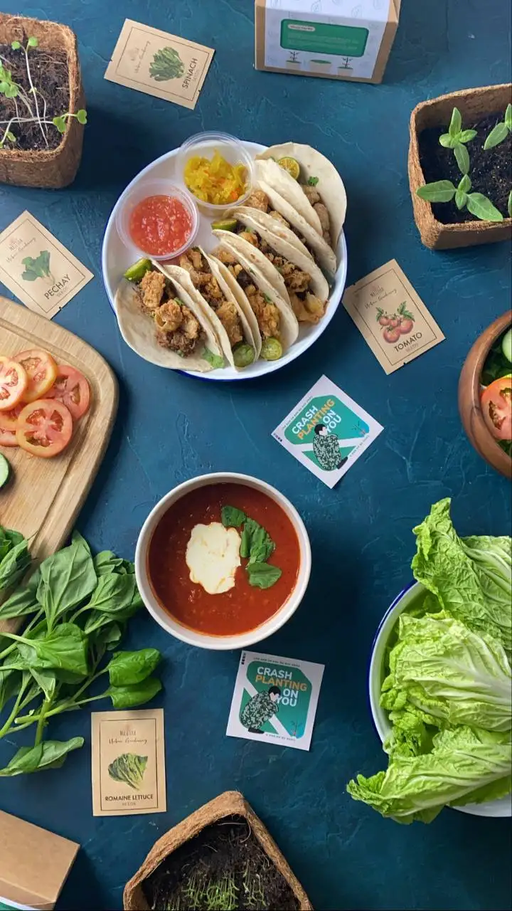 Indoor 24 Set Compact Herb Kitchen Garden Starter Kit