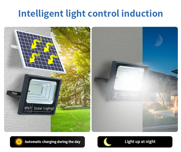RGB LED Solar Flood Lights - Durable, Efficient, Bright