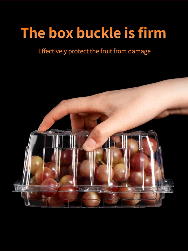 Clear Plastic Rectangle Clamshell Fruit Container Box 1lb Disposable ...