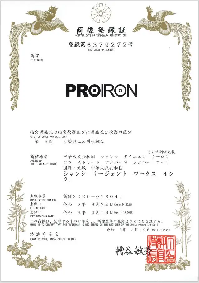 Proiron Logo & Color Customized Wholesale Neoprene Coated Kettlebell 4/6/8/10/12/16kg Durable ...