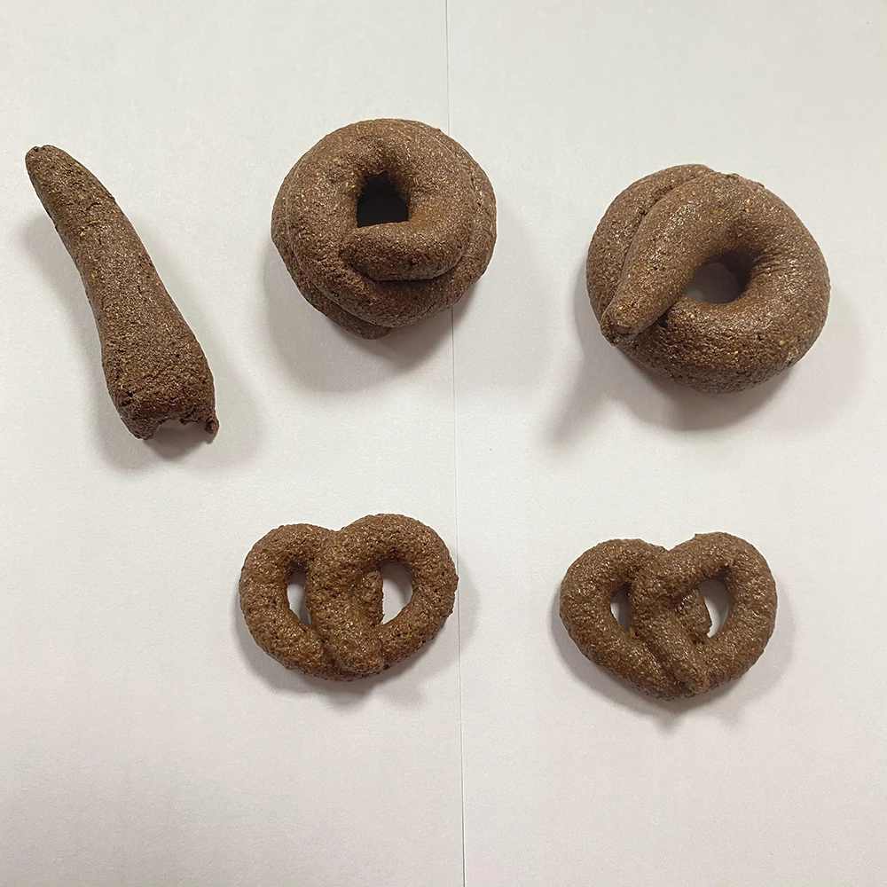 April Fools' Day Joke Trick Prank Funny Novelties Chunky Dog Doo ...