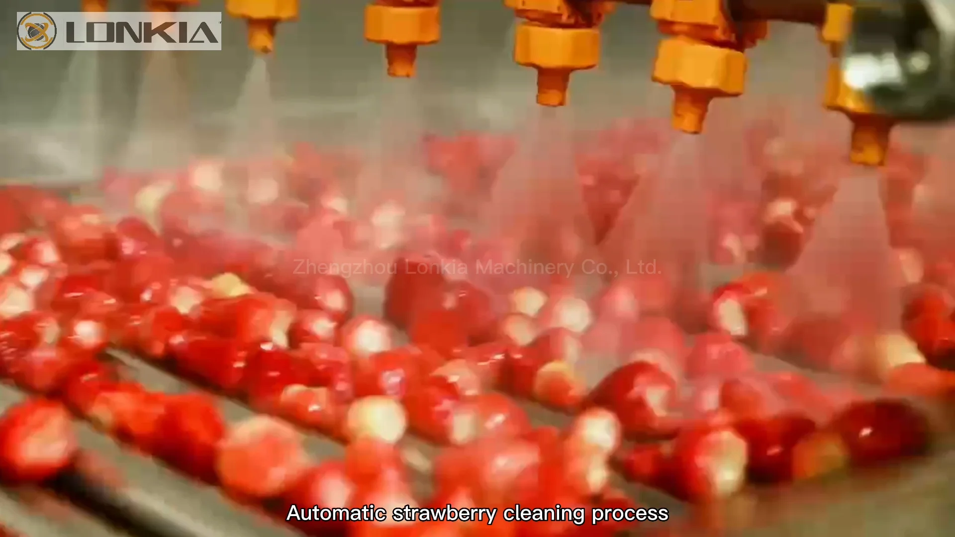 Commercial Automatic Fruit Blueberry Washing Herb Leafy Vegetable ...