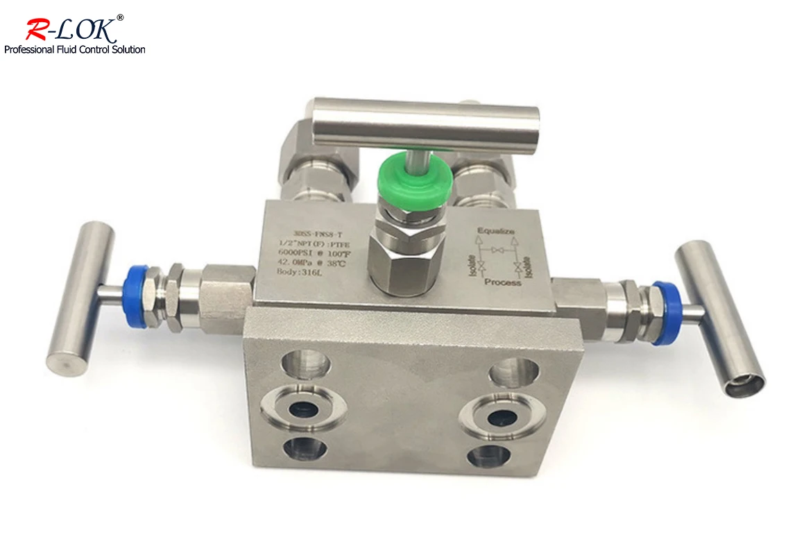 Swagelok Instrument Manifold at Katie Palmos blog