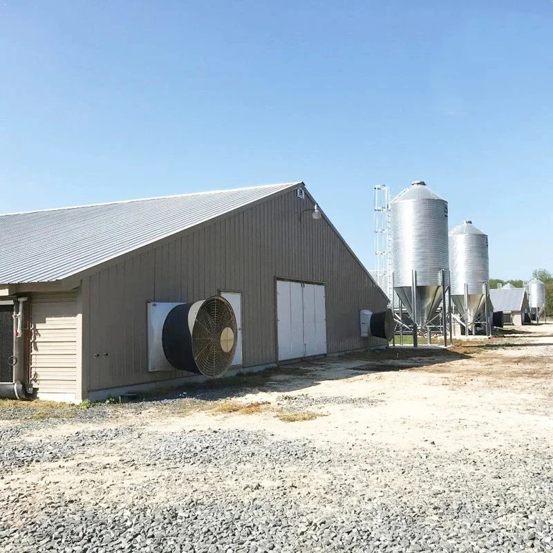 Durable Steel Structure Goat House & Sheep Barn Solutions