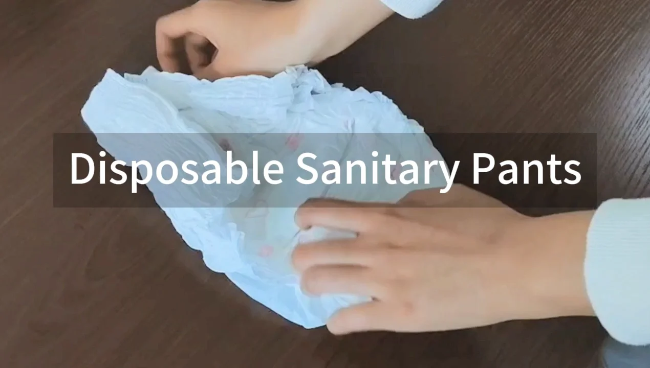 Hot Sale Disposable Eco-friendly Menstrual Panties Period Pants ...
