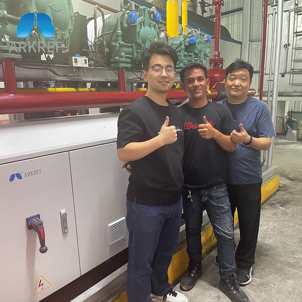 Alibaba.com: ARKREF CO2 Freezing Refrigeration System with compressor ...