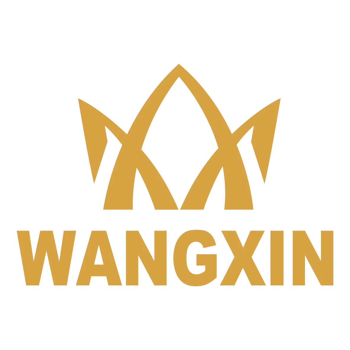 Company Overview - Guangzhou Wangxin Electronics Co., Ltd.