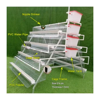 1000 Chickens Farm Battery Egg Layer Chicken Cage In Kenya South Africa ...