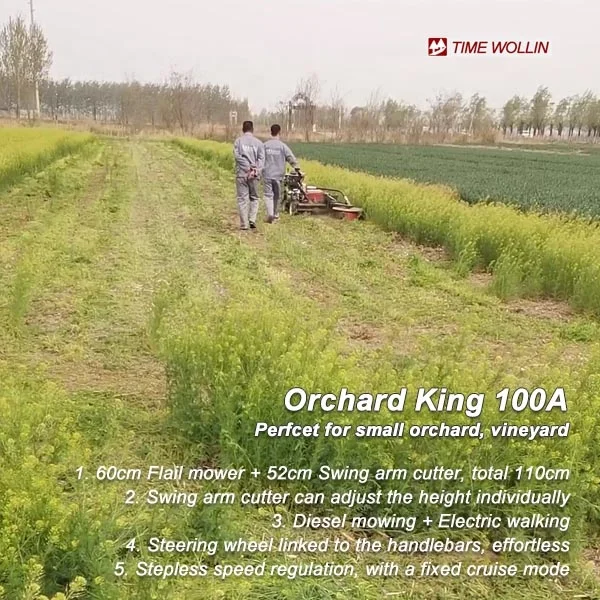 2023 New Swing Arm Flail Mower Walk Behind Orchard King 100A Orchard ...