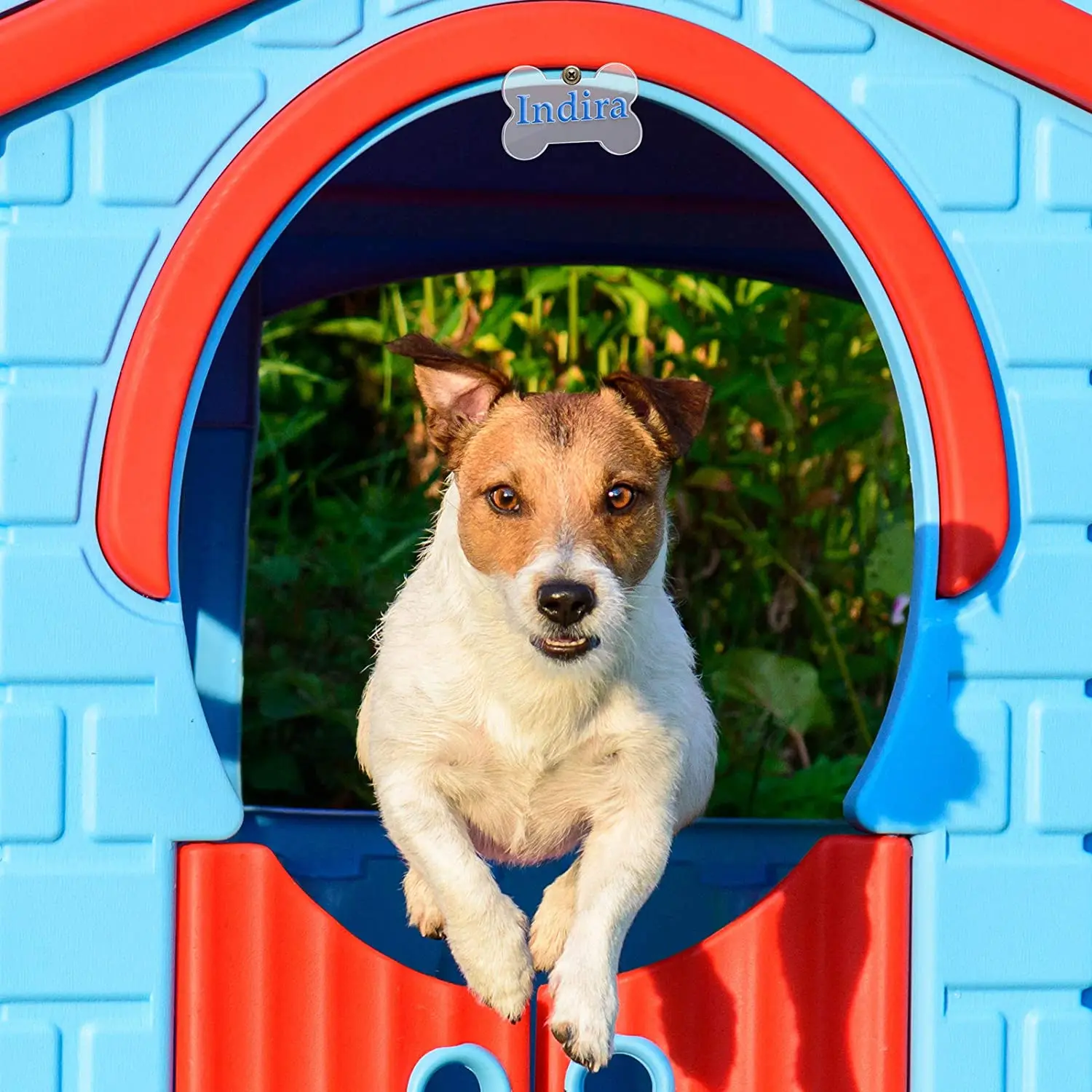 Custom Logo Colored Split Rings Metal Split Key Chains Key Rings Dog ...