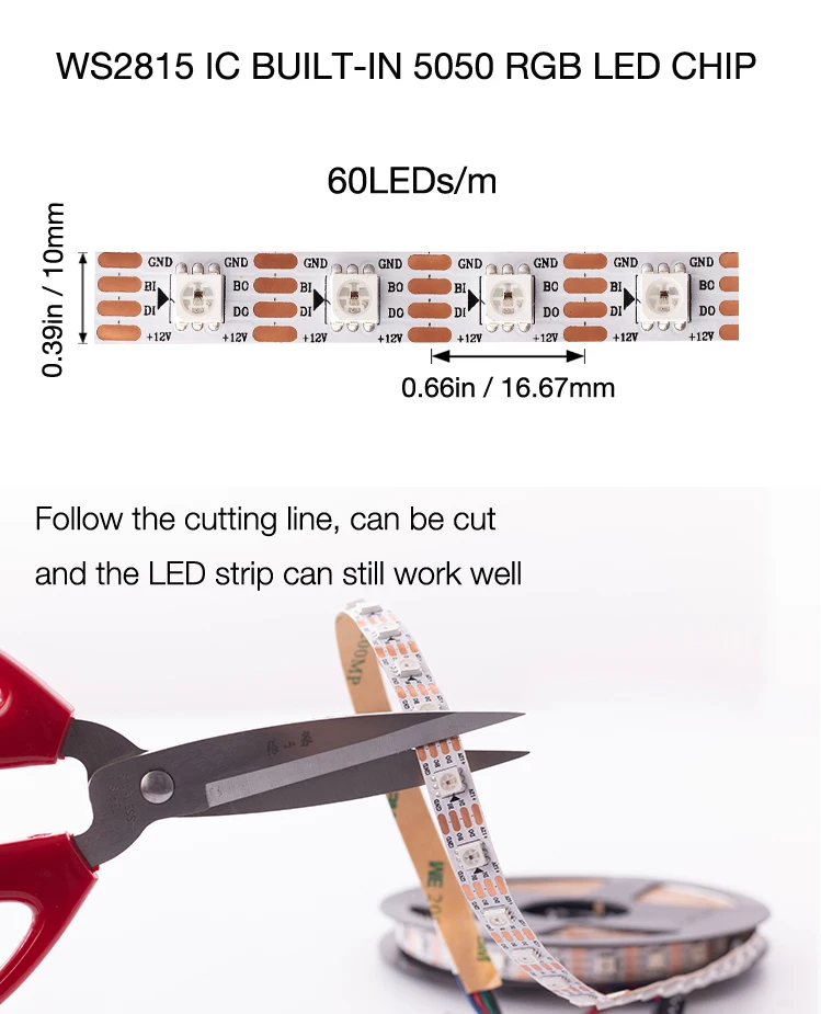 Dc12v Ws2815 Rgbic Individually Addressable Dual Signal 30 60 144 ...