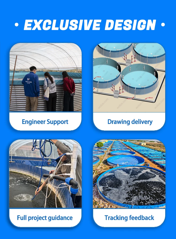 Ras System Aquaculture Equipment for Shrimp Tilapia Fish Farming in ...
