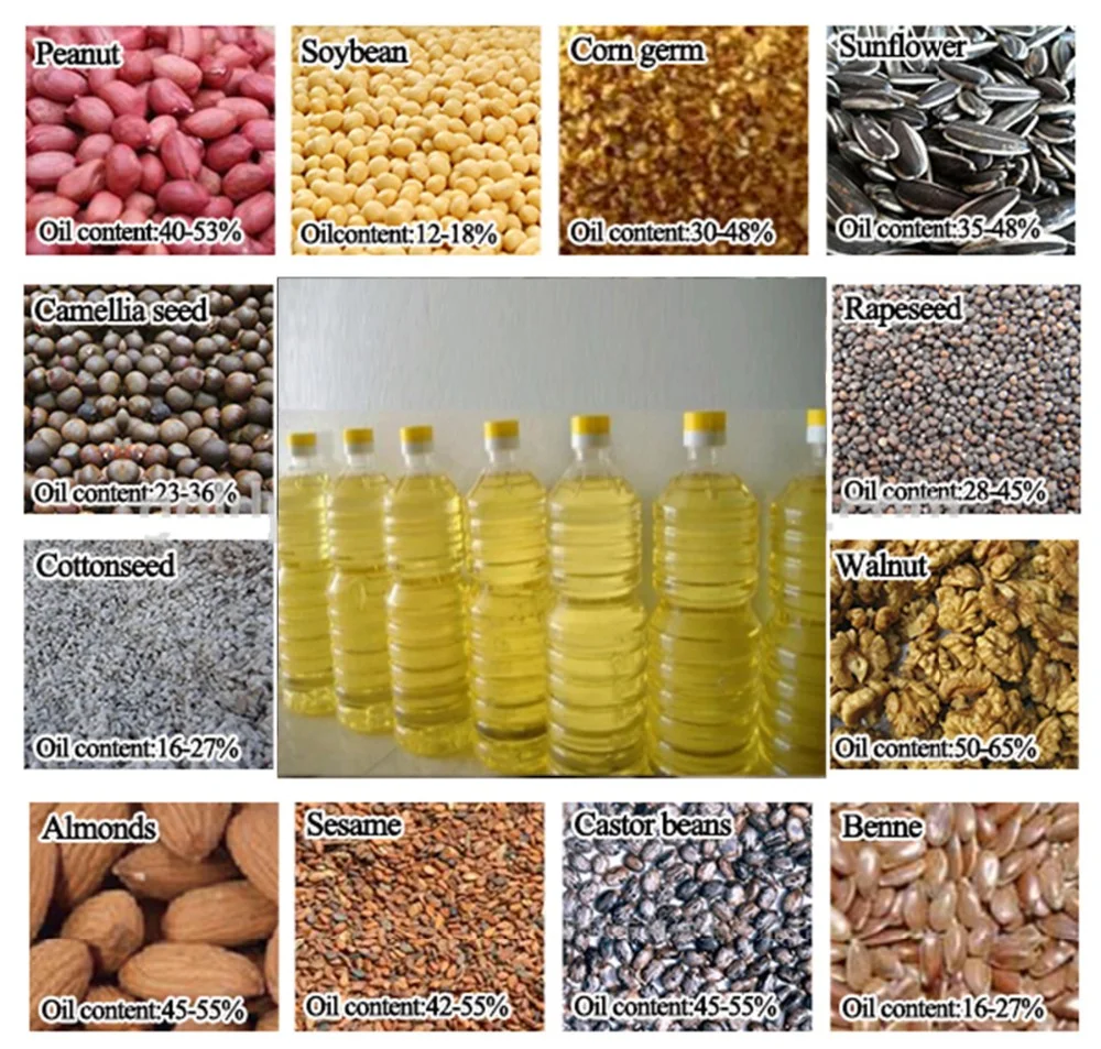 Máquina automática de prensa de aceite hidráulico 6YY-185, prensadora ...