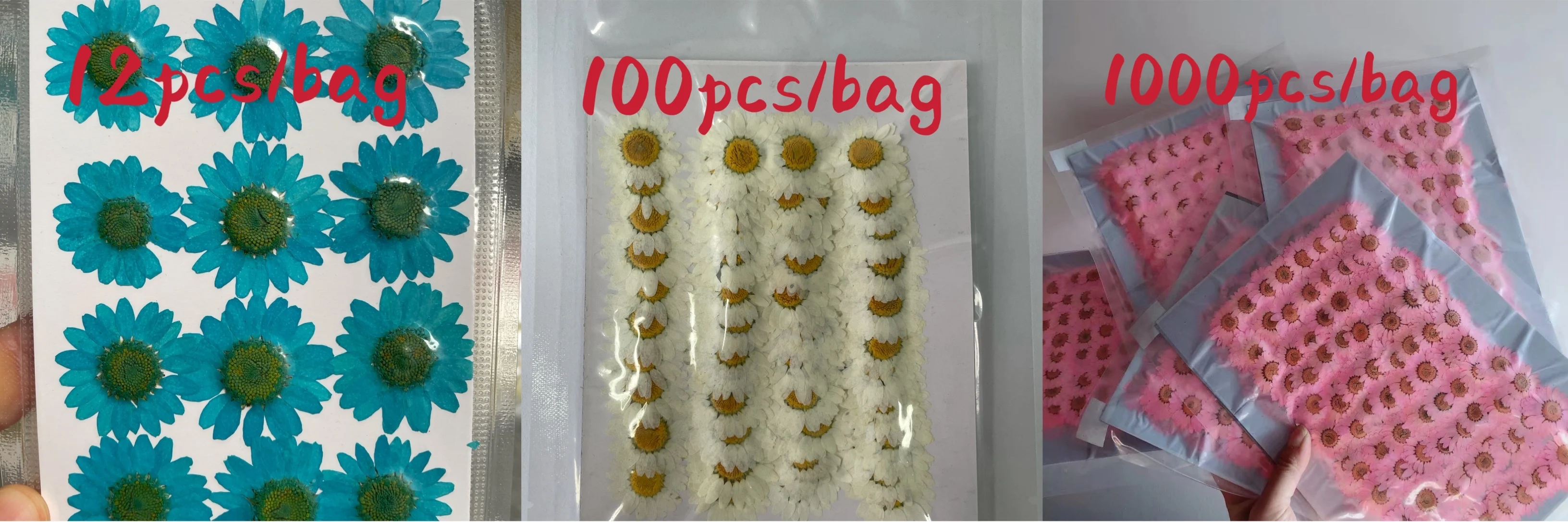 Natural Pressed Dried Flower Leaves Red Maple Leaf Embellishment For natural-pressed-dried-flower-leaves-red-maple-leaf-embellishment-for