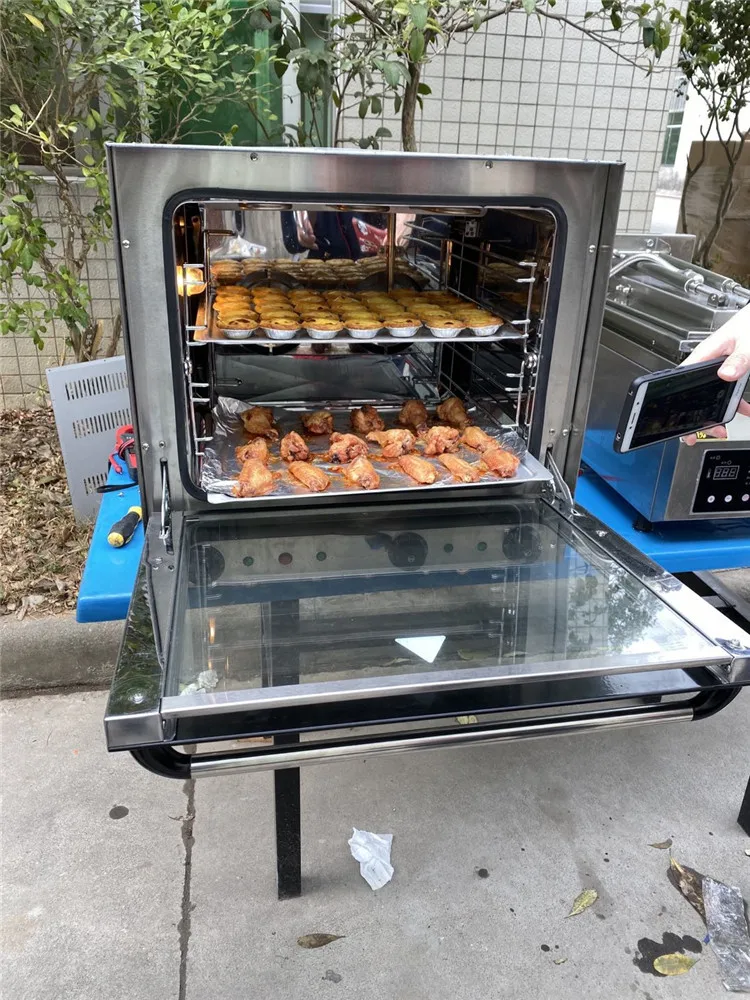 Stainless Steel Electric Oven with Hot Air Circulation - 4 Heating ...