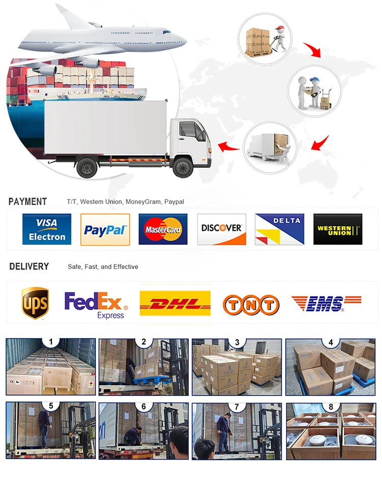 Veterinary Poct Immunoassay Analyzer Vet Pcr Poct Fluorescent Analyzer ...