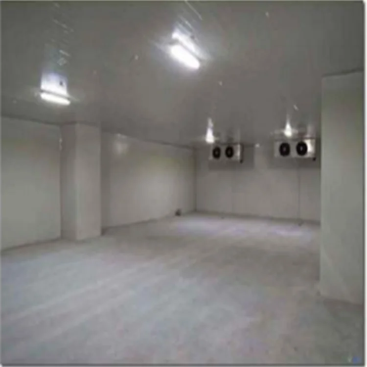 Cold Chain Insulated Storage Evaporator R22 Refrigerant Cold Storage ...