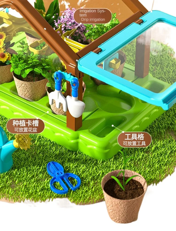 Room Diy Planting Greenhouse Science Experiment Planting Flowers House ...