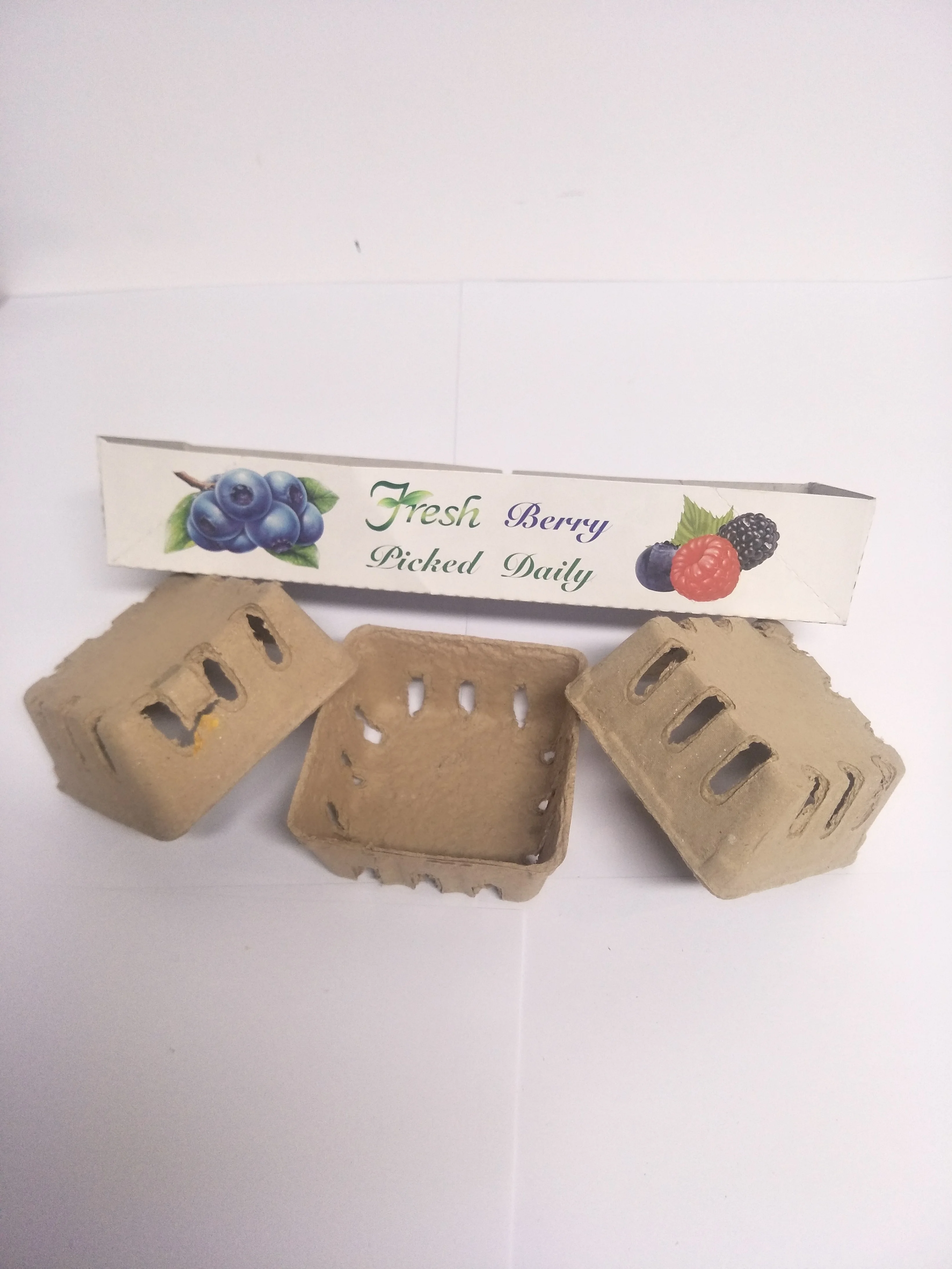 Eco-material Biodegradable Molded Paper Pulp Strawberry Baskets ...