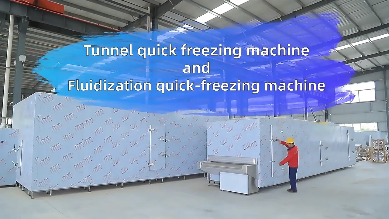 Xindaxin 100-1000kg/h Fish Fast Freezing Machine/squid Iqf Quick Blast Freezer/tunnel Freezer ...
