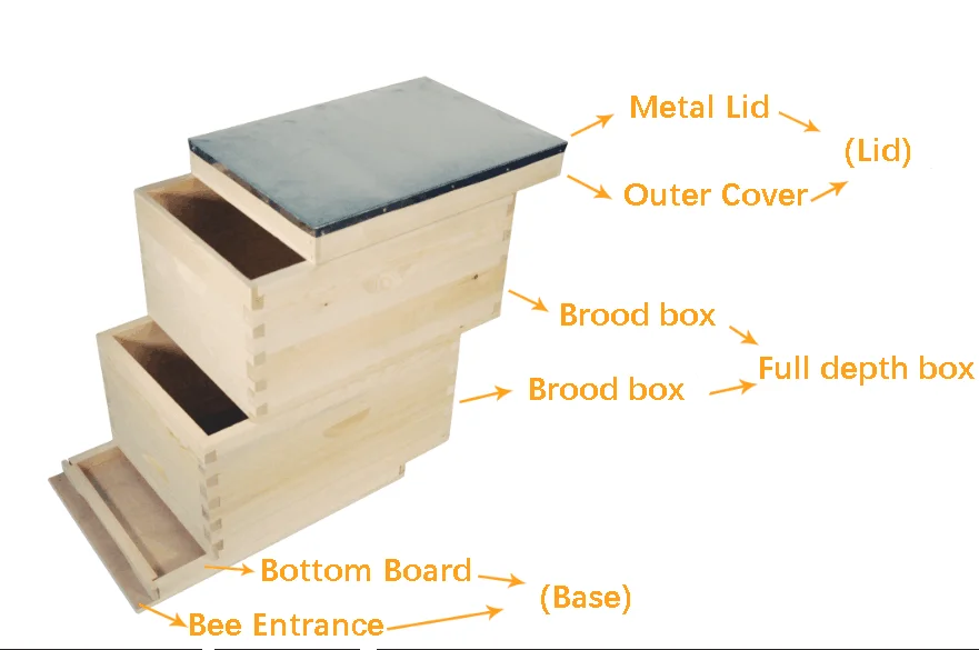 Beekeeping Hives - Chinese Wood Bee Hives & Australian Bee Box