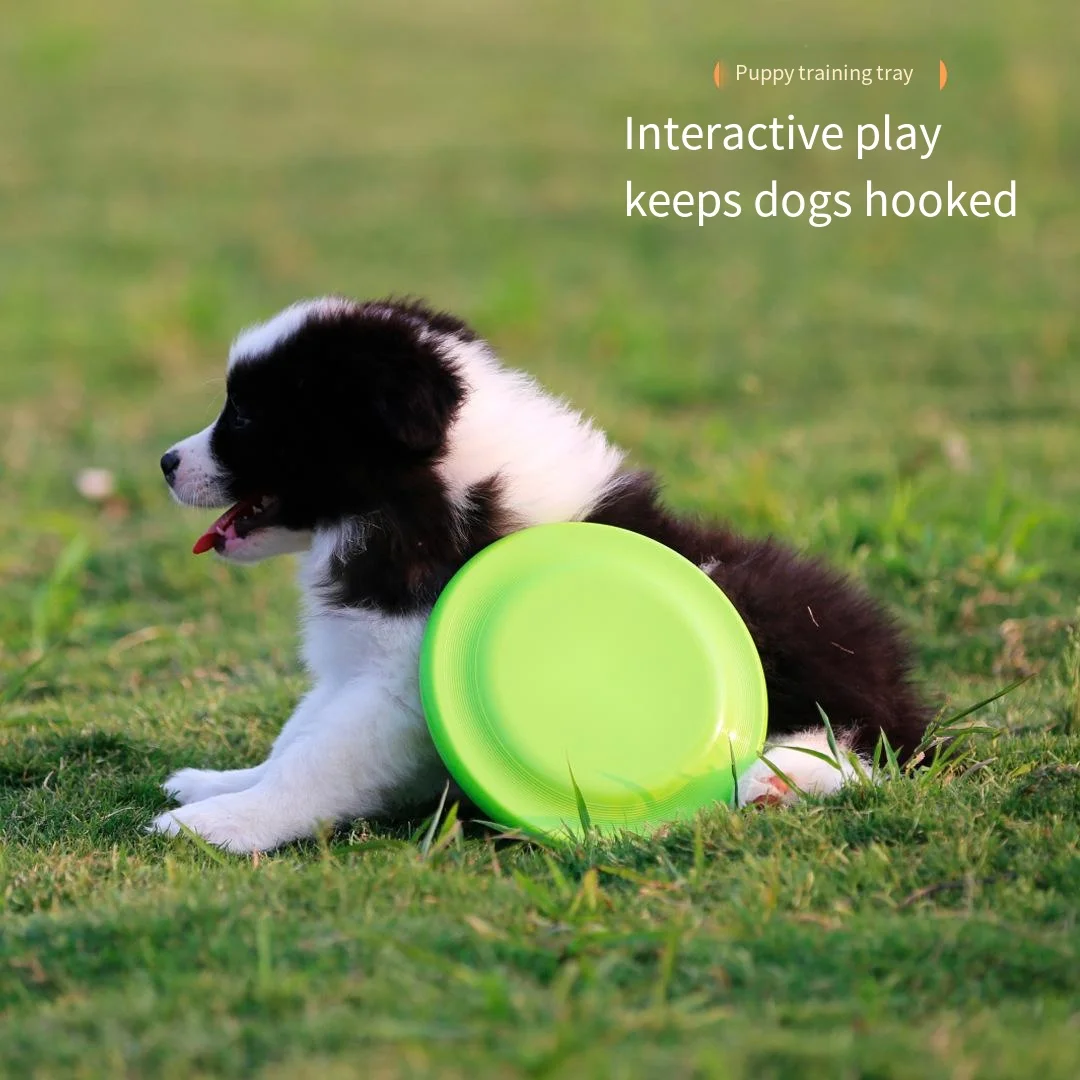 Hot Sale Dog Frisbee Floating Dog Frisbee Durable Dog Frisbee - Buy Dog ...