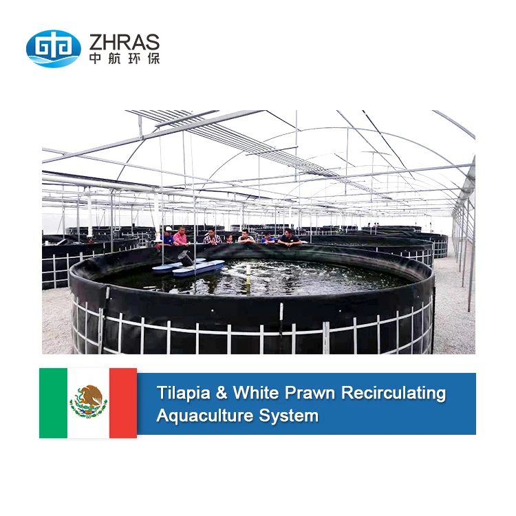 Fish Farming System/customized Wholesale Ras System For Shrimp Farming ...