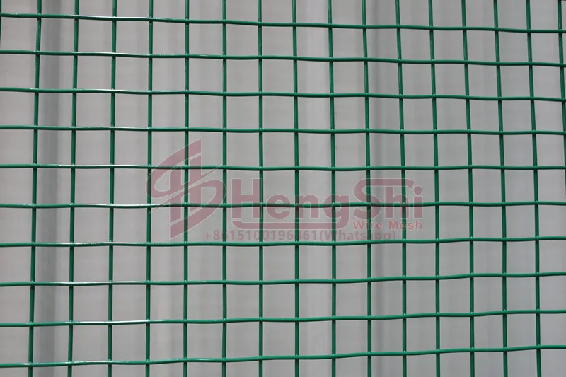 Outdoor Bird Cage - Durable Aviary Mesh Panels & Video Inspection