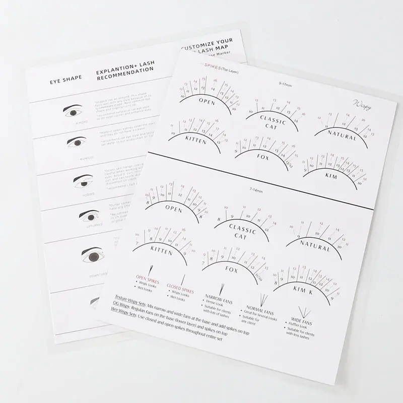 Lash Mapping Chart Guide Training Dimension Chart For Lash Extensin ...
