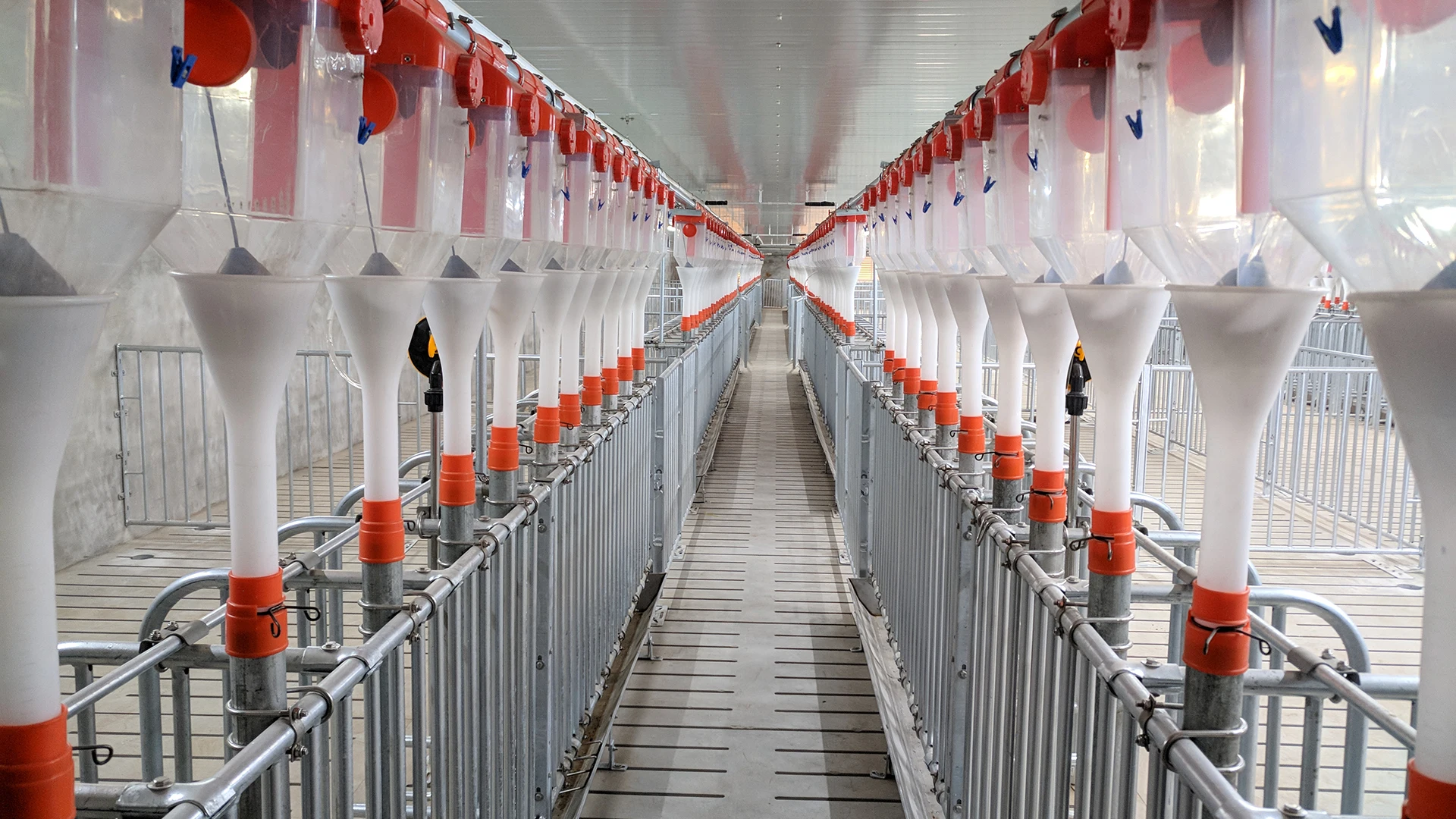 Pig Equipment Gestation Cages for Pigs Hog Gestation Crates
