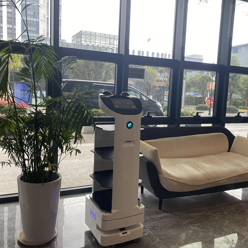 Dinedisplay: Autonomous Delivery Robot Enhancing Restaurant Advertising ...