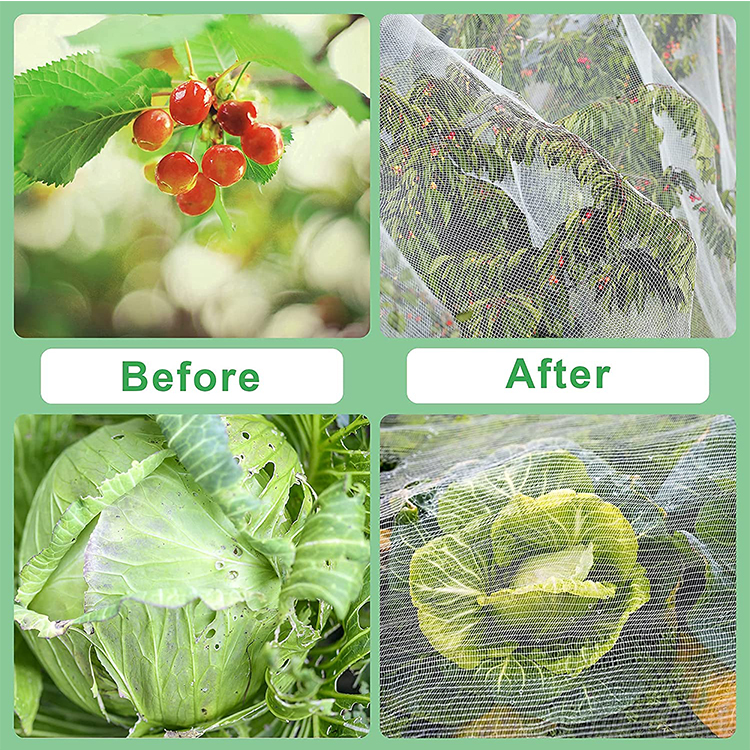 Large Garden Netting High Density Insect Net ,Agriculture Vegetable 40 ...
