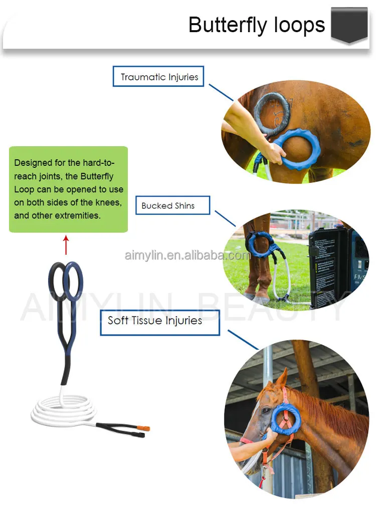 Magnetic PEMF Therapy Device for Horses - Equine Wellness