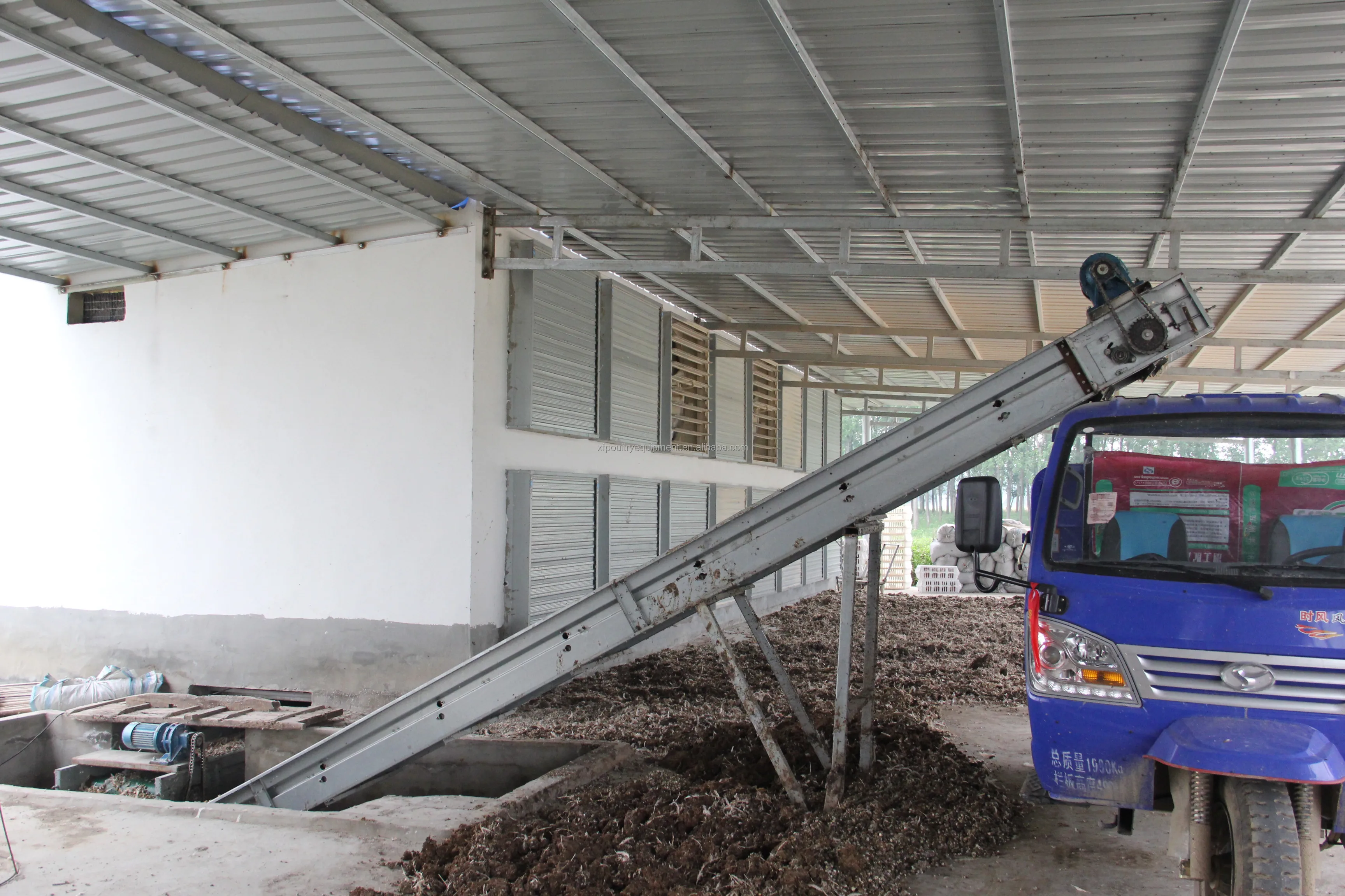 Efficient Chicken Manure Removal System for Farms